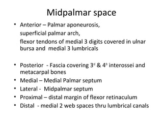 Palmar spaces | PPT