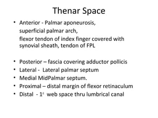 Palmar spaces | PPT