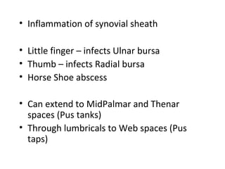 Palmar spaces | PPT