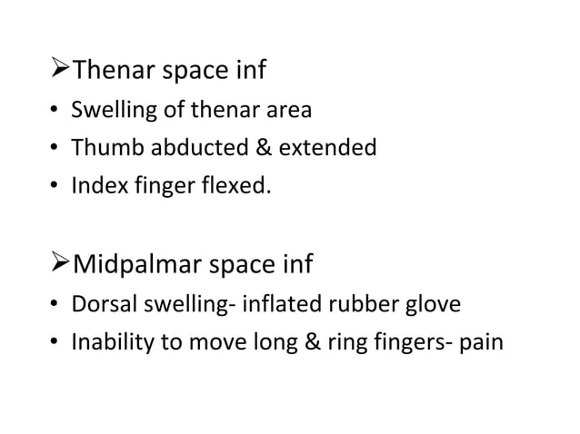 Palmar spaces | PPT | Death, Injury, or Military Conflict | Sensitive ...