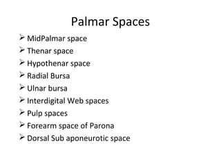 Palmar spaces | PPT