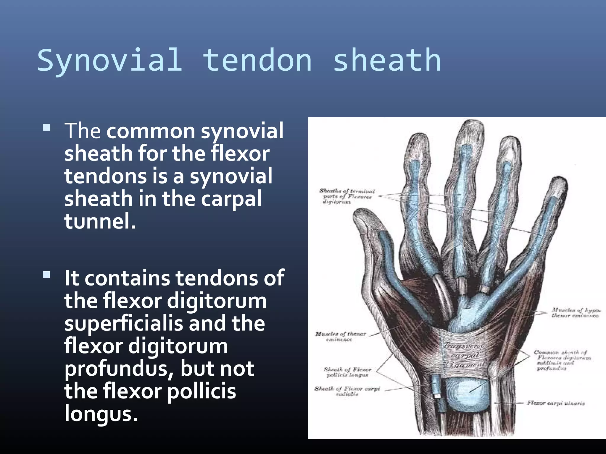 Palmar spaces - Types / contents | PPT