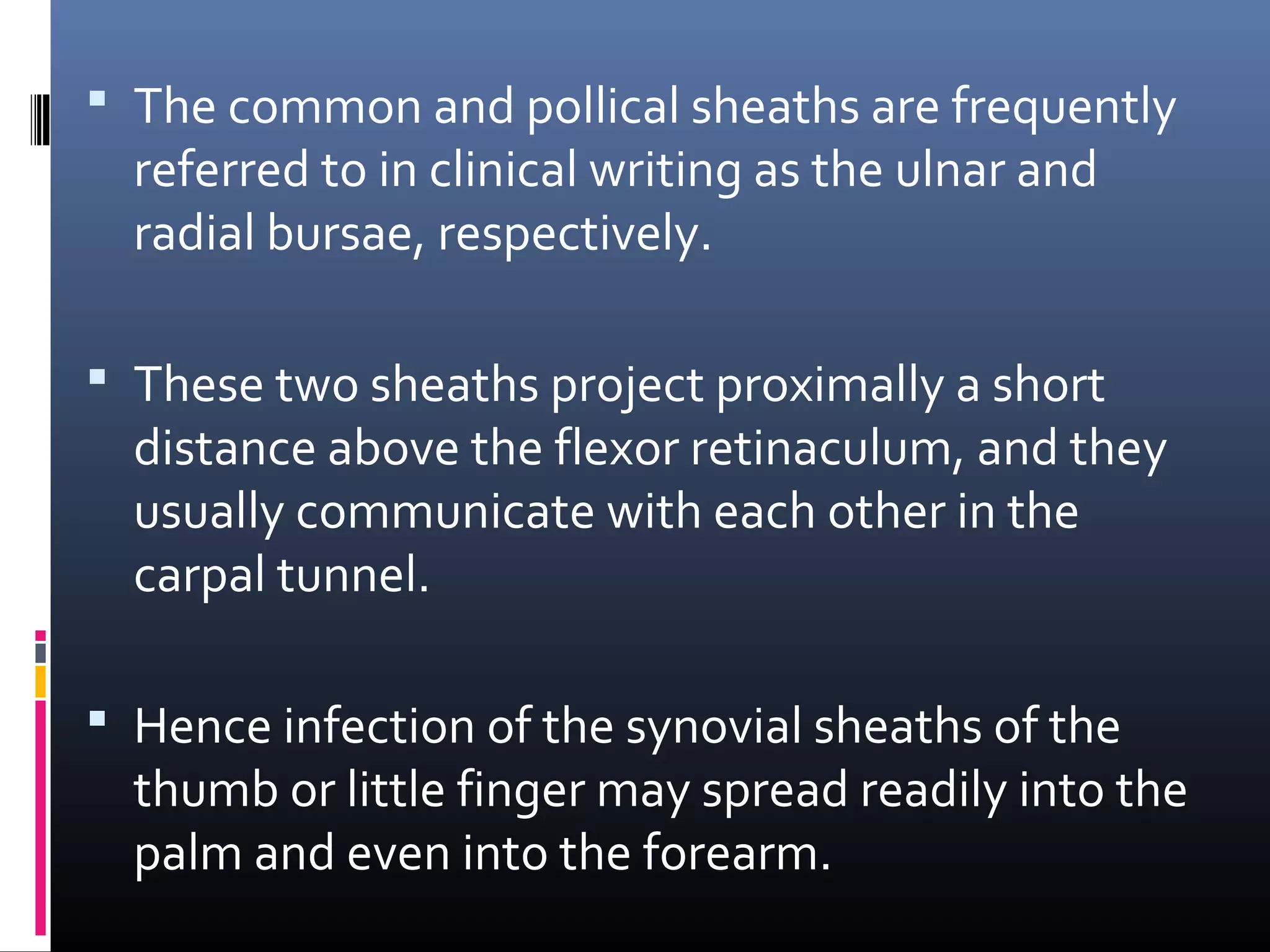 Palmar spaces - Types / contents | PPT