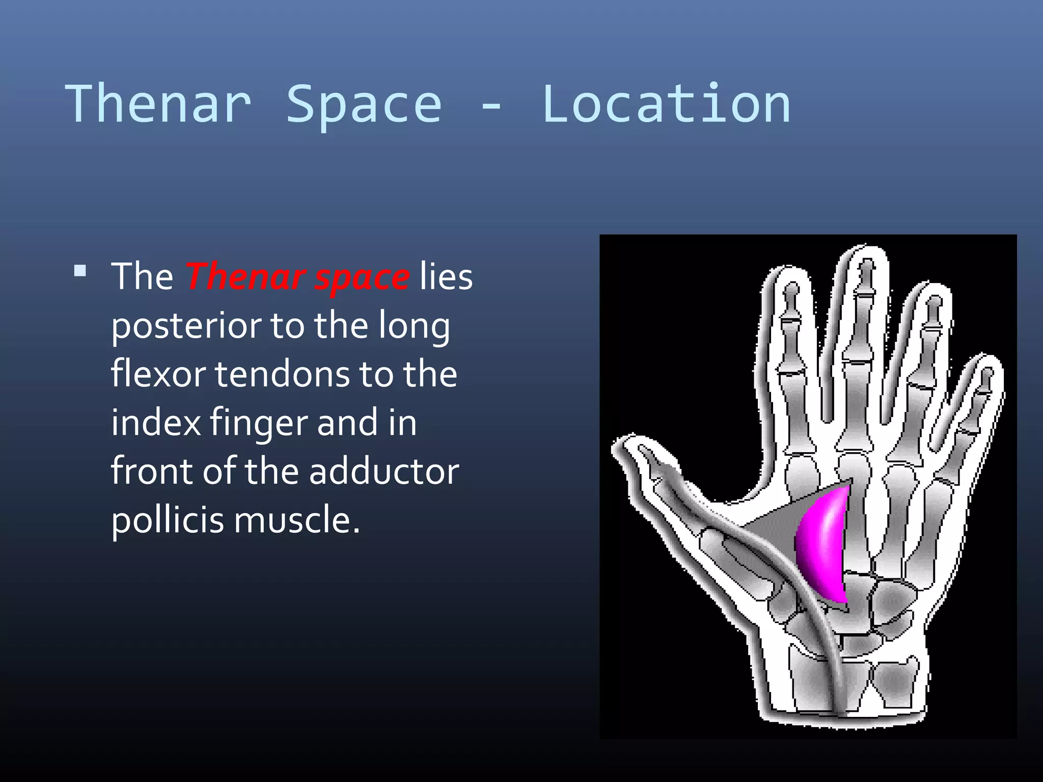 Palmar spaces - Types / contents | PPT