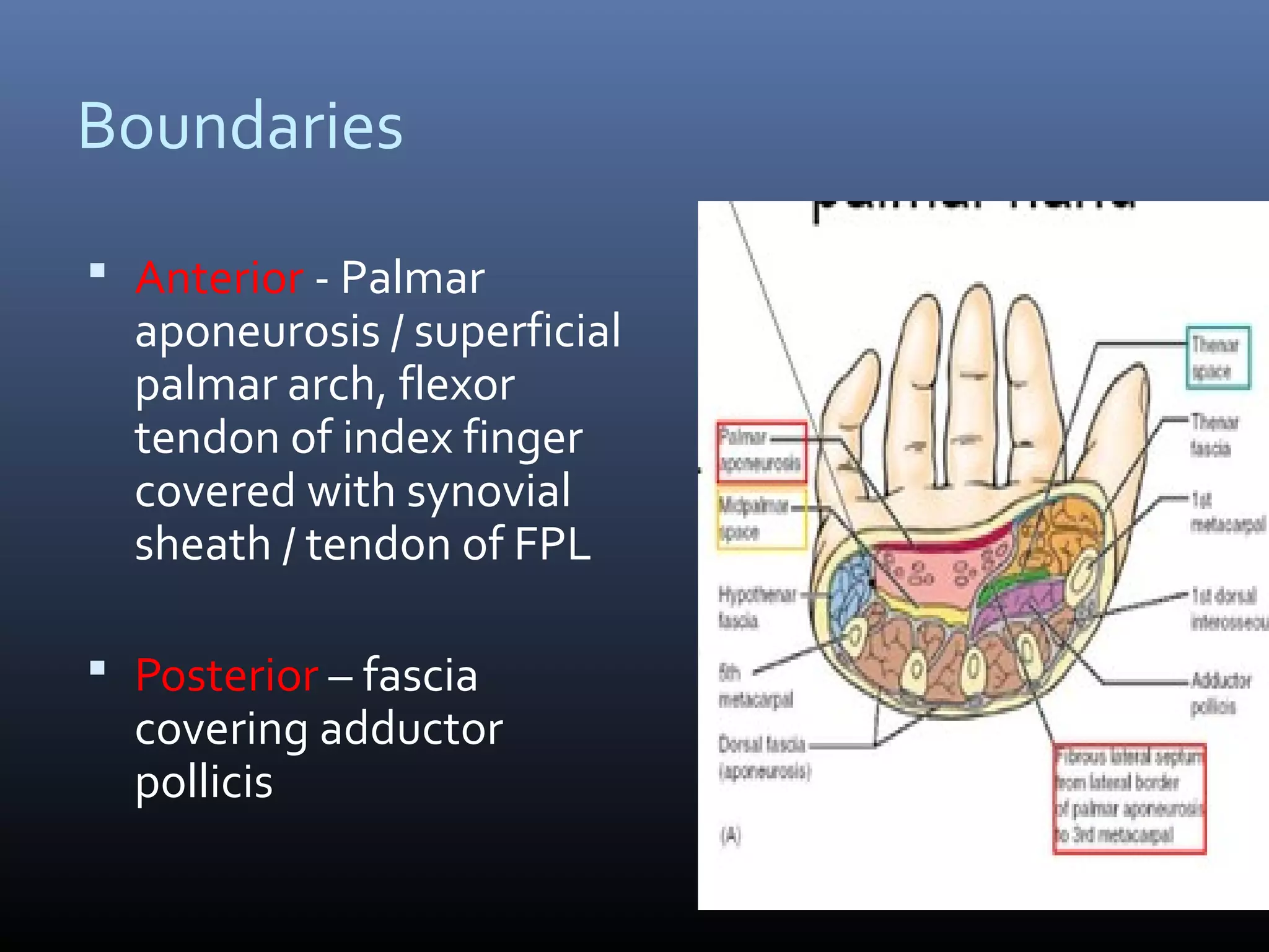Palmar spaces - Types / contents | PPT