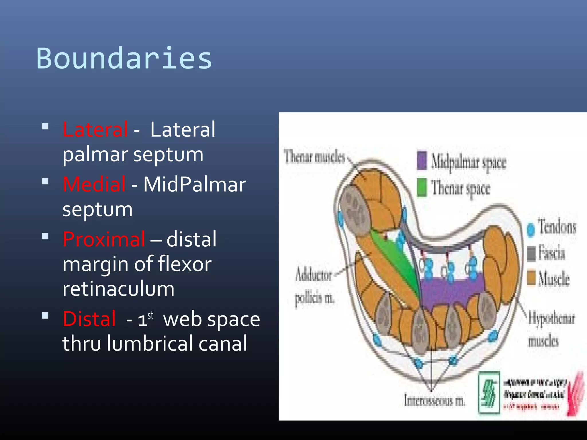 Palmar spaces - Types / contents | PPT