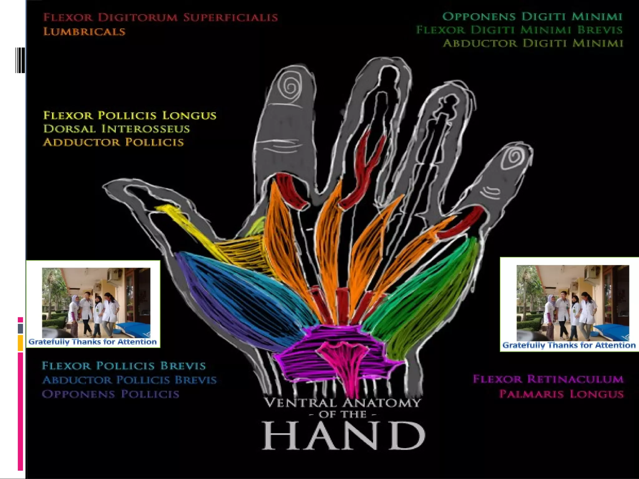 Palmar spaces - Types / contents | PPT