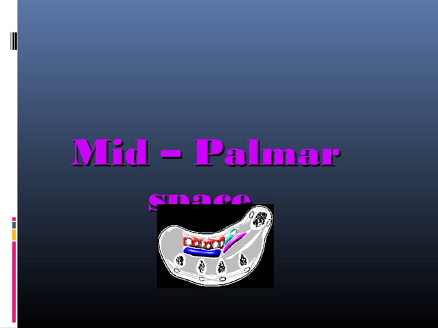 Palmar spaces - Types / contents | PPT
