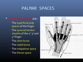 Palmar spaces - Types / contents | PPT