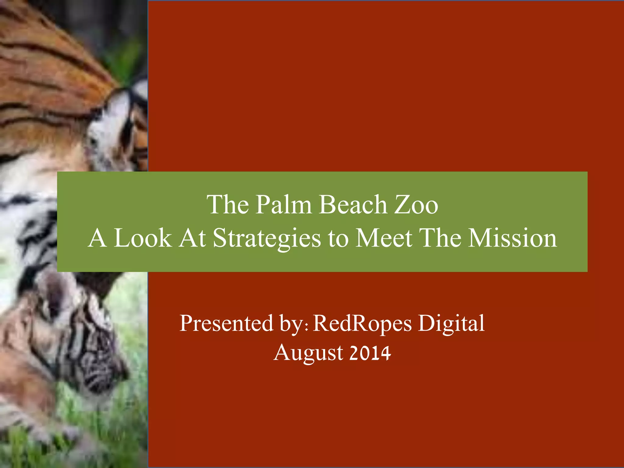 Palm Beach Zoo Marketing Proposal | PPTX
