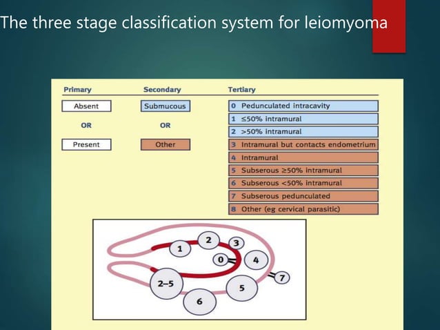Palm coein clasification | PPTX