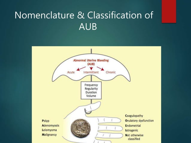 Palm coein clasification | PPTX