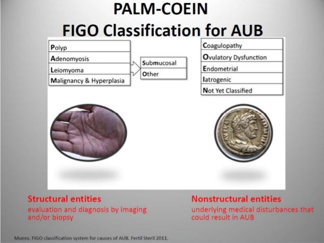 Palm coein clasification