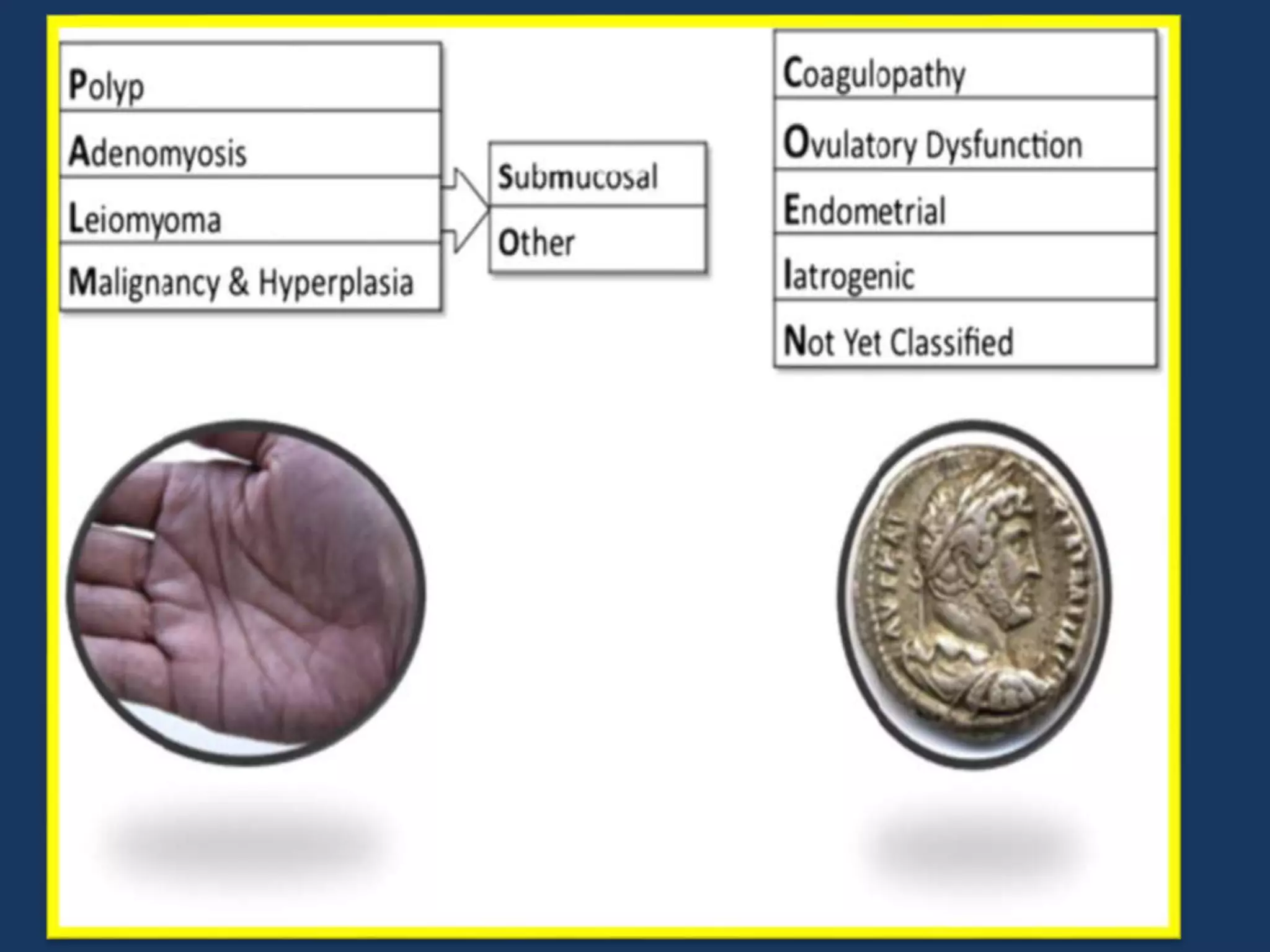 Palmcoien classification | PPT