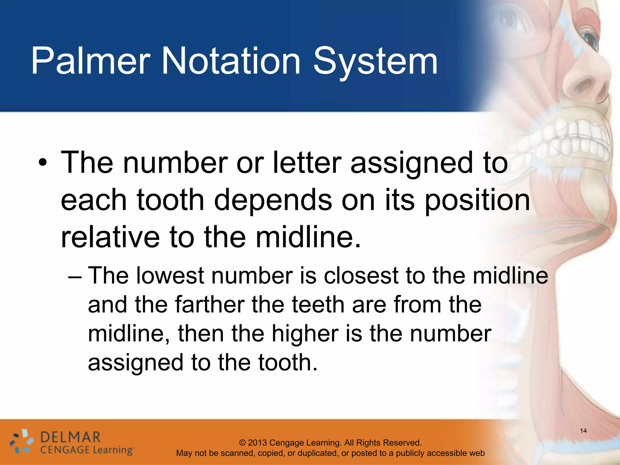 Palmer notation, fdi | PPTX