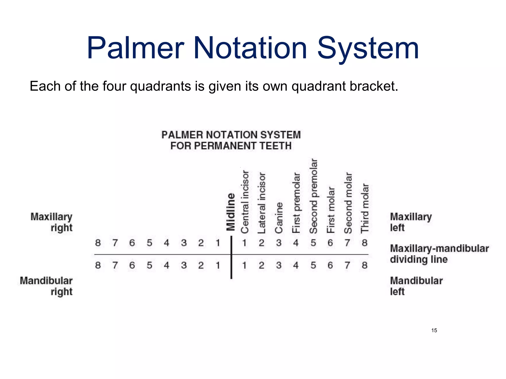 Palmer notation, fdi | PPTX