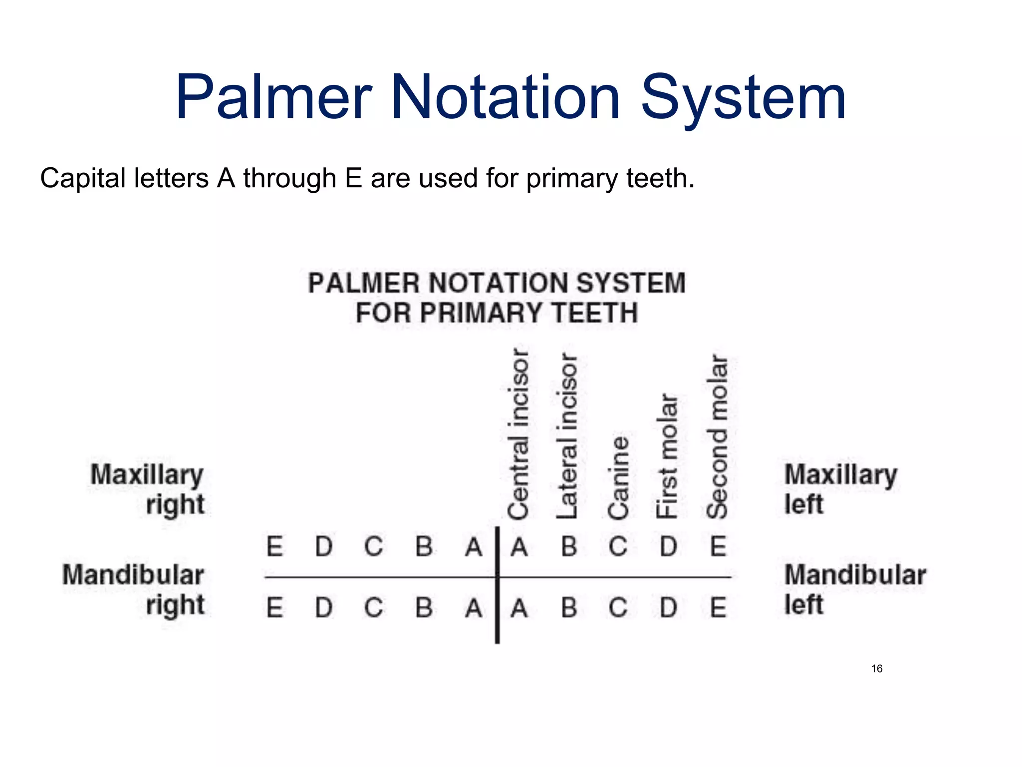 Palmer notation, fdi | PPTX