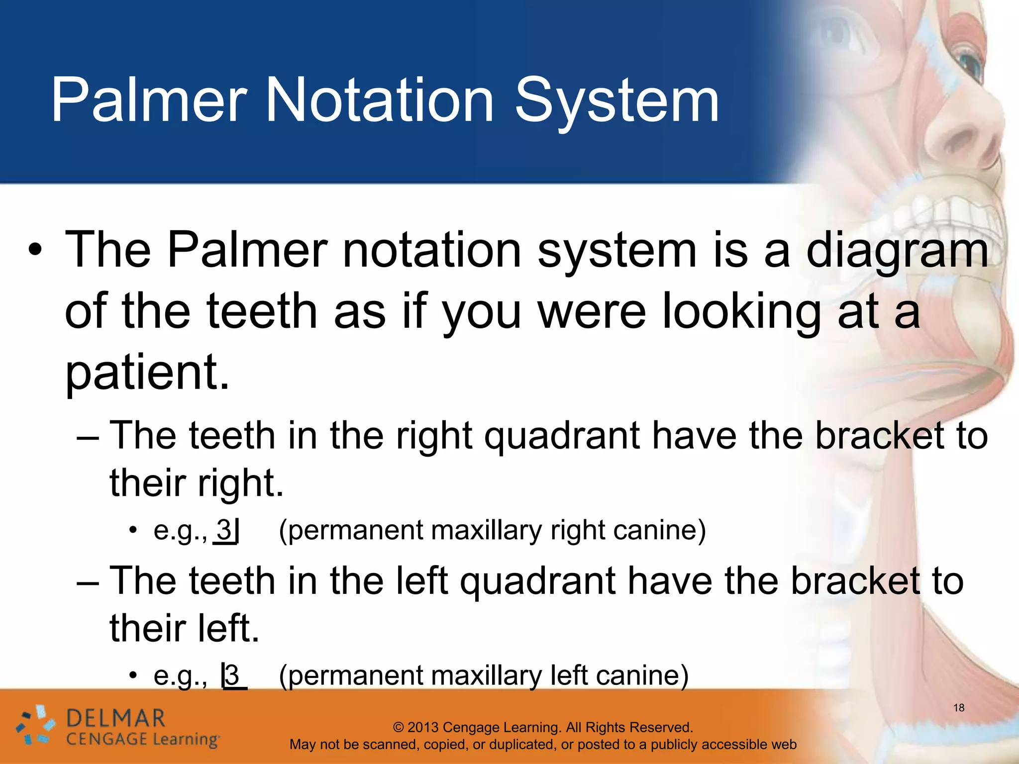 Palmer notation, fdi | PPTX