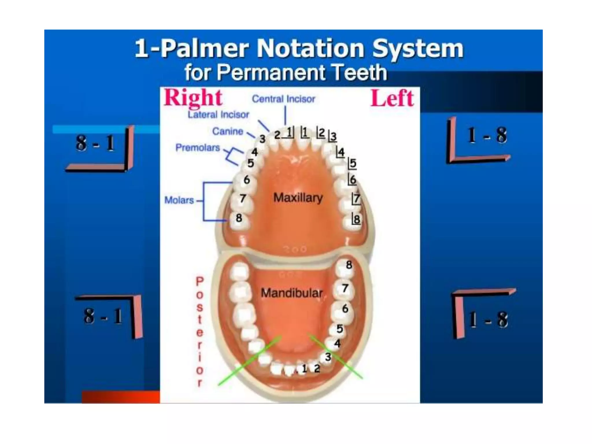 Palmer notation, fdi | PPTX