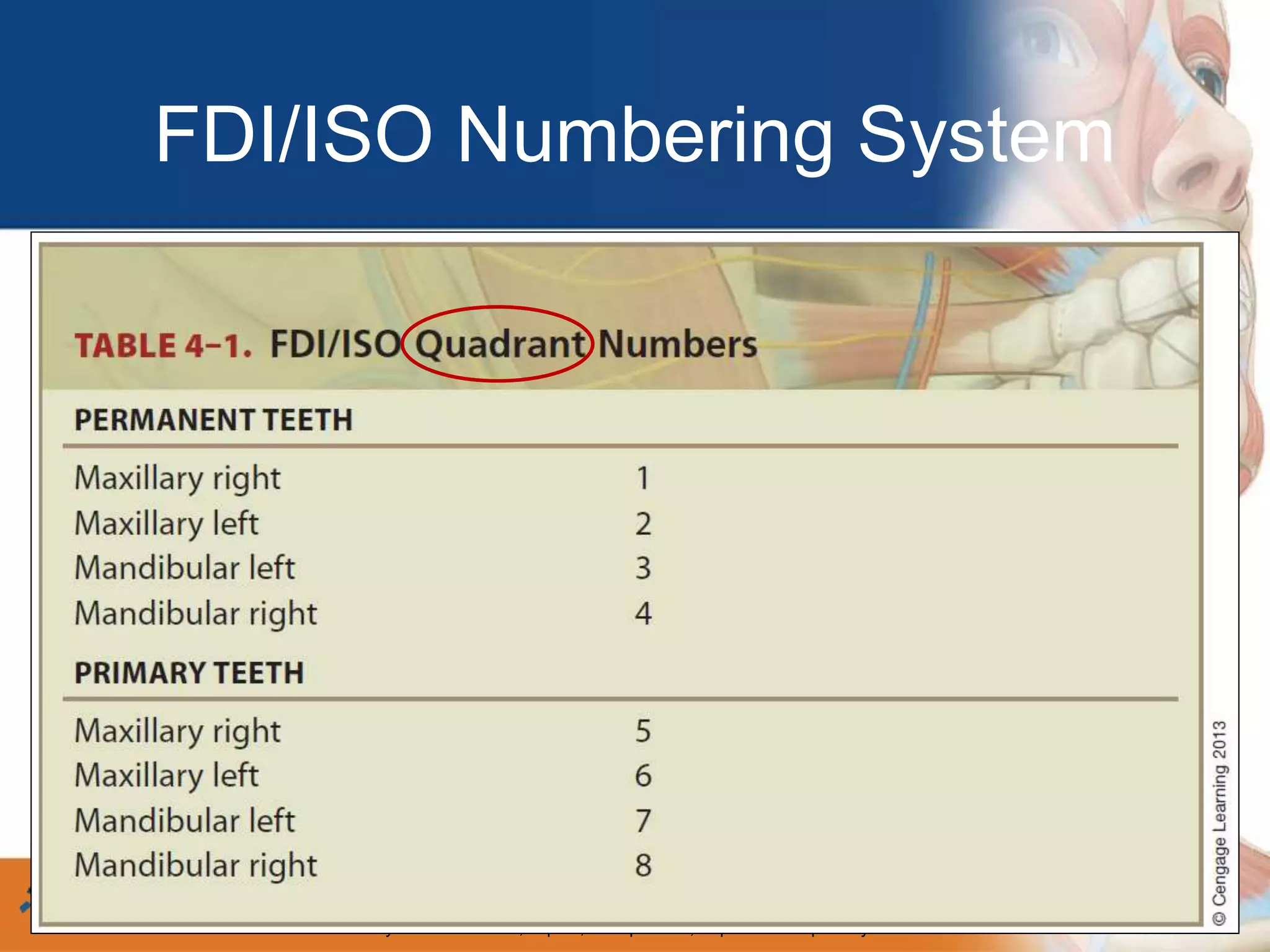Palmer notation, fdi | PPTX