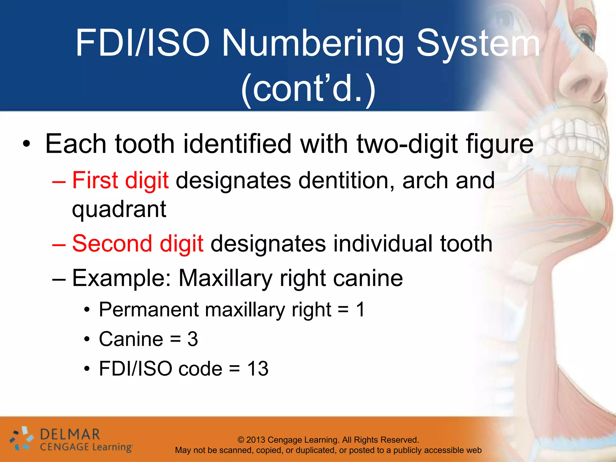 Palmer notation, fdi | PPTX