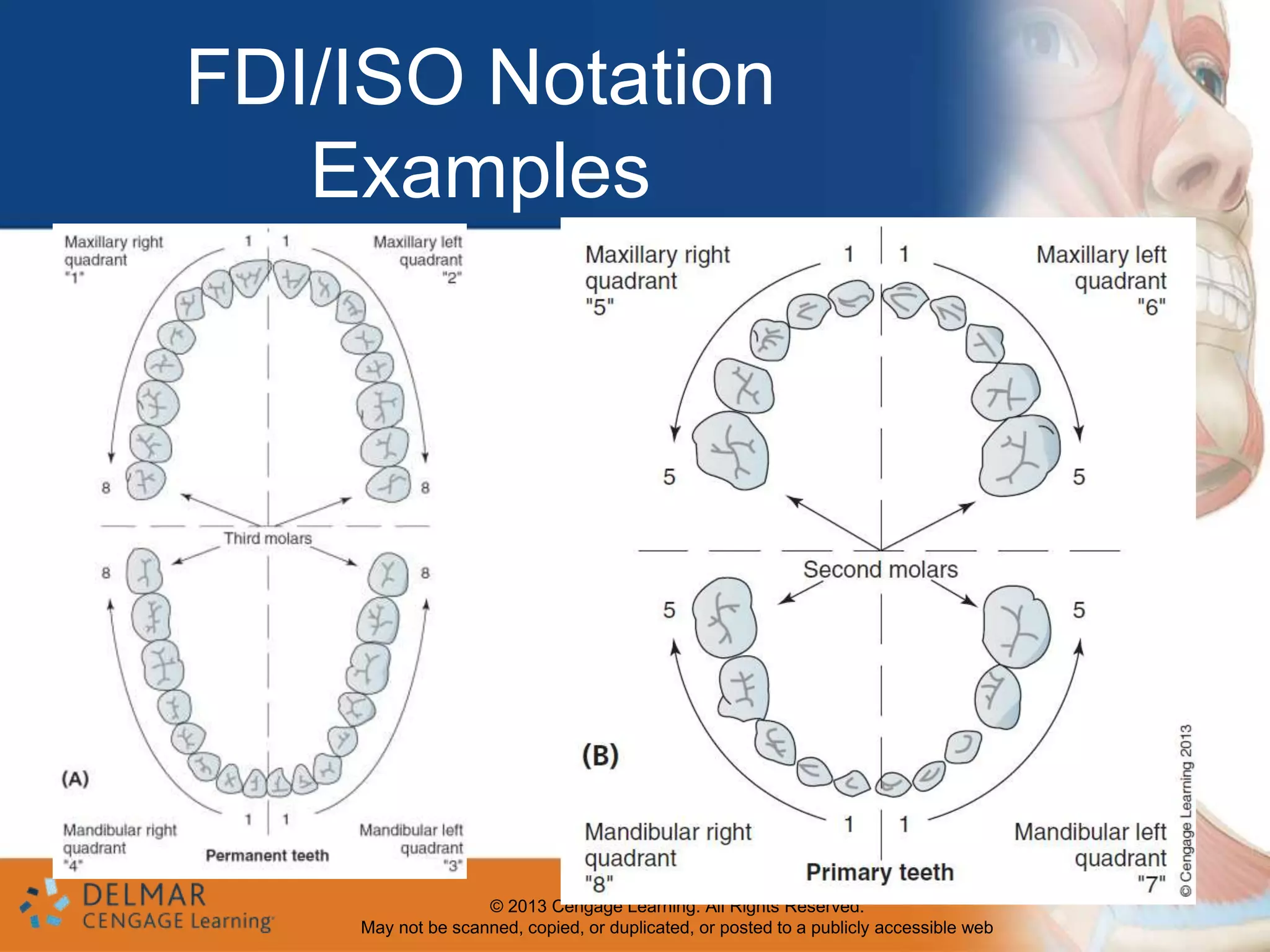 Palmer notation, fdi | PPTX