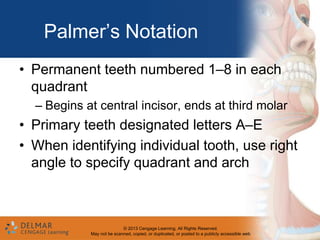 Palmer notation, fdi | PPTX