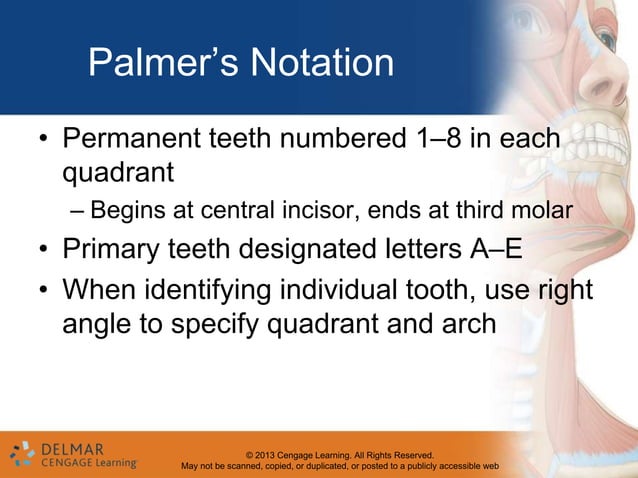 Palmer notation, fdi | PPTX | Dental Health | Diseases and Conditions
