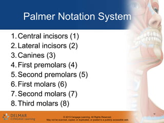 Palmer notation, fdi | PPTX