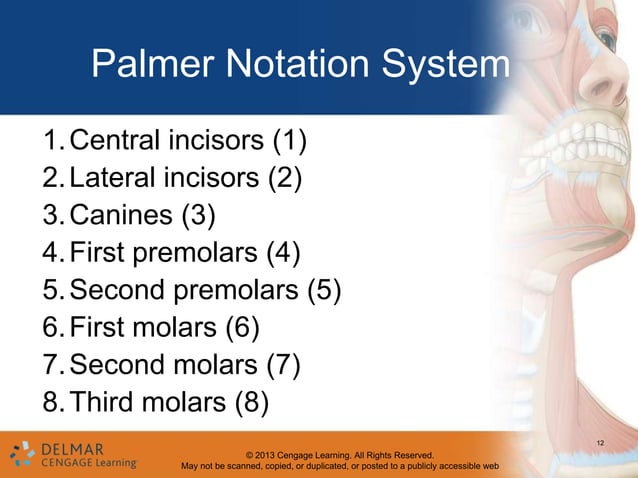 Palmer notation, fdi | PPTX | Dental Health | Diseases and Conditions