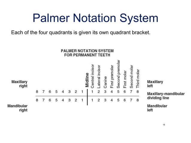Palmer notation, fdi | PPT