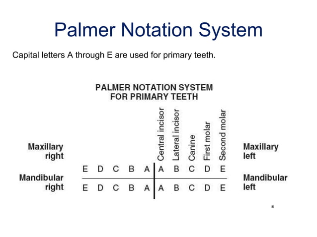 Palmer notation, fdi | PPTX | Dental Health | Diseases and Conditions