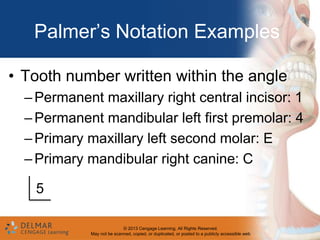 Palmer notation, fdi | PPTX