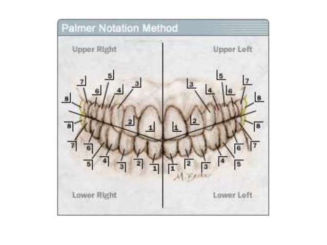 Palmer notation, fdi | PPT