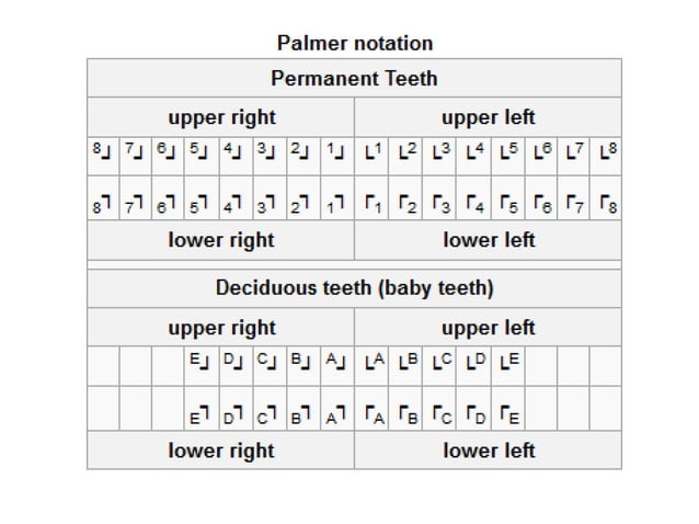 Palmer notation, fdi | PPT