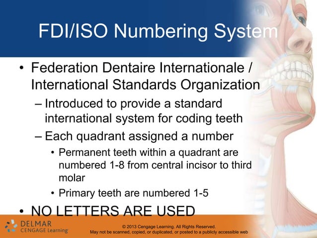 Palmer notation, fdi | PPTX | Dental Health | Diseases and Conditions