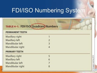 Palmer notation, fdi | PPTX