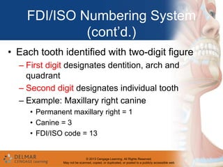 Palmer notation, fdi | PPTX