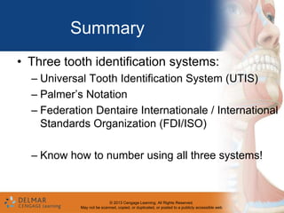 Palmer notation, fdi | PPTX