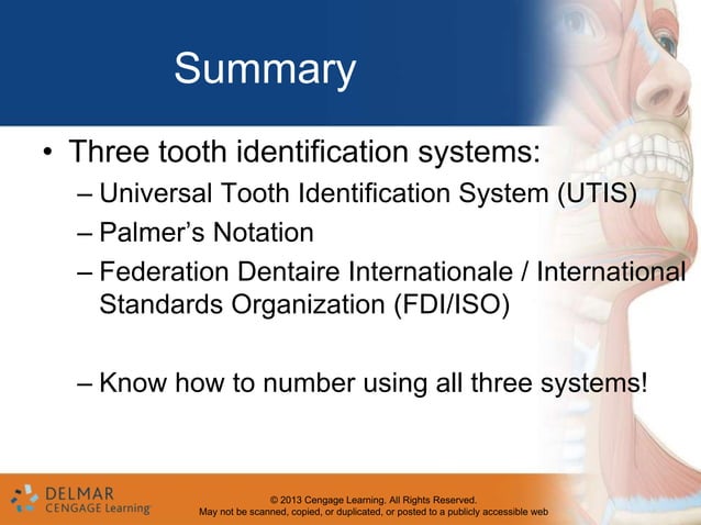 Palmer notation, fdi | PPTX | Dental Health | Diseases and Conditions