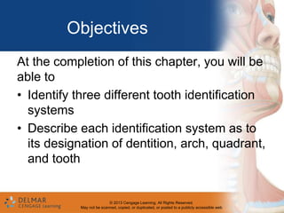 Palmer notation, fdi | PPTX