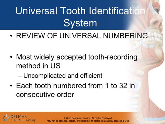Palmer notation, fdi | PPTX | Dental Health | Diseases and Conditions