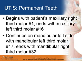Palmer notation, fdi | PPTX