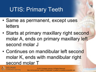 Palmer notation, fdi | PPTX