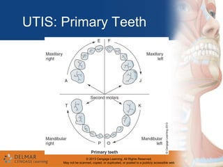 Palmer notation, fdi | PPTX