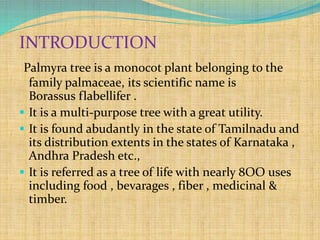 Palm gur industry in India | PPTX