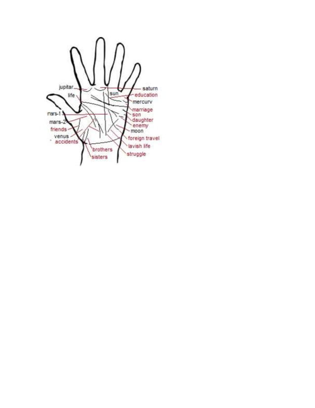 Palmistry hands lines with segment like mercury & freinds line . | DOCX