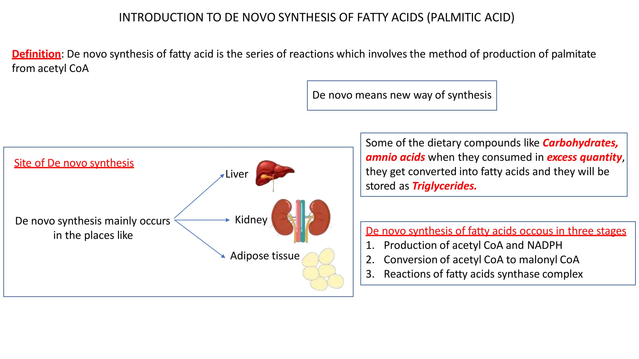 Palmitic acid synthesis with the help of coolege bsc 3rd semester | PDF