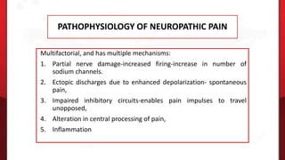 Palmitoylethanolamide in the Treatment of Neuropathic Pain | PPTX