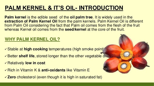 Palm kernel seed & oil